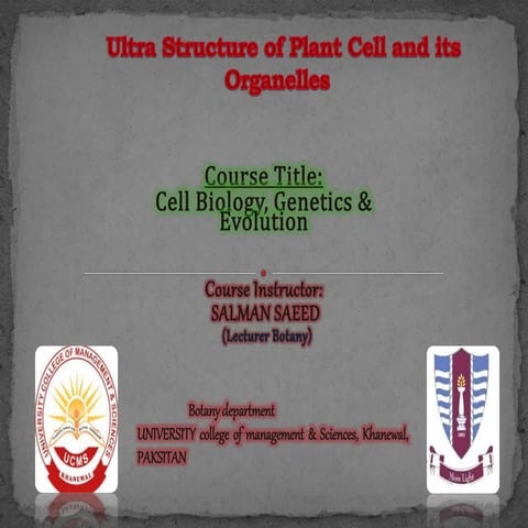 Ultra structure of Plant Cell by Salman Saeed Lecturer Botany UCMS ...