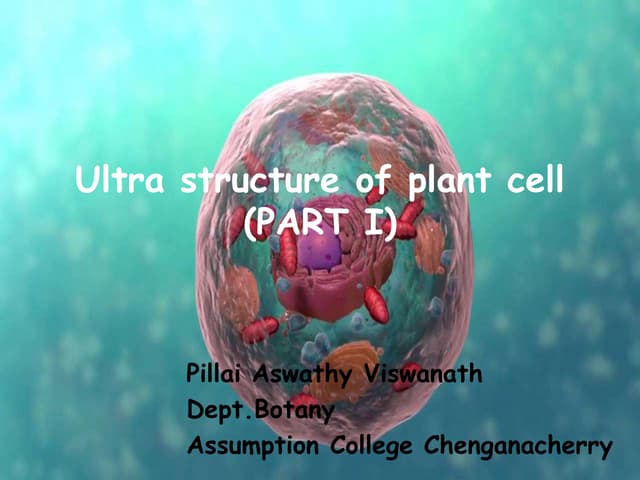 Ultrastructure of prokaryotic and eukaryotic cells | PPTX