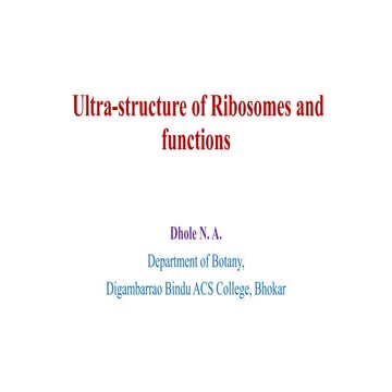 Ultra-structure of Ribosomes and functions | PPTX