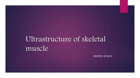 Skeletal Muscle Structure.pptx