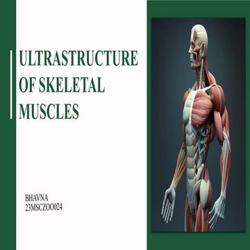 Ultrastructure of skeletal muscle...pptx