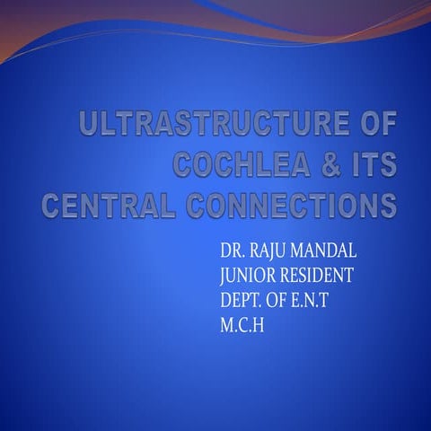 Ultra stuctures of cochlea & its central connections | PPT