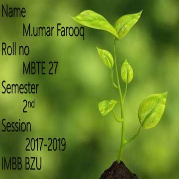 Umar farooq mbte 27 | PPTX