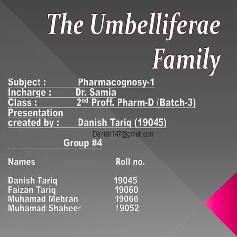 FAMILY FABACEAE | PDF