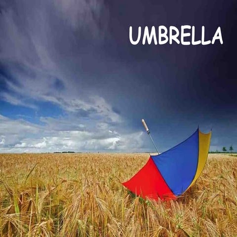 Umbrella | PPT