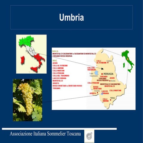 Umbria Lezione AIS secondo Livello | ODP