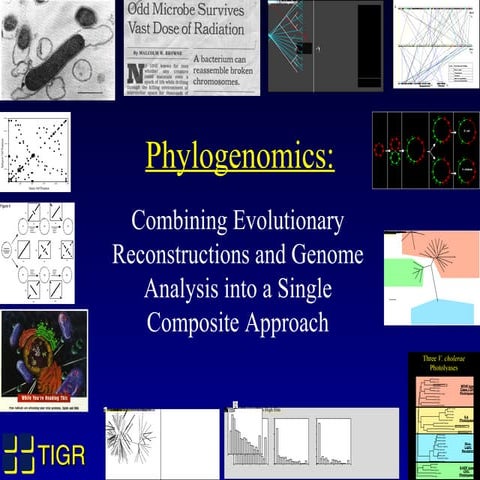 "Phylogenomics: Combining Evolutionary Reconstructions and Genome ...