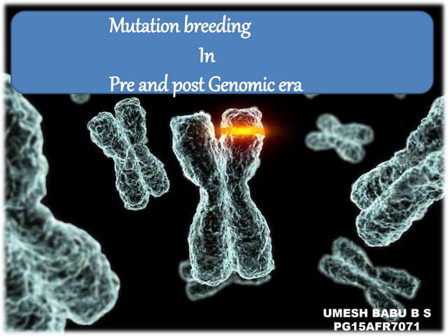 Mutation breeding in Plants | PPTX