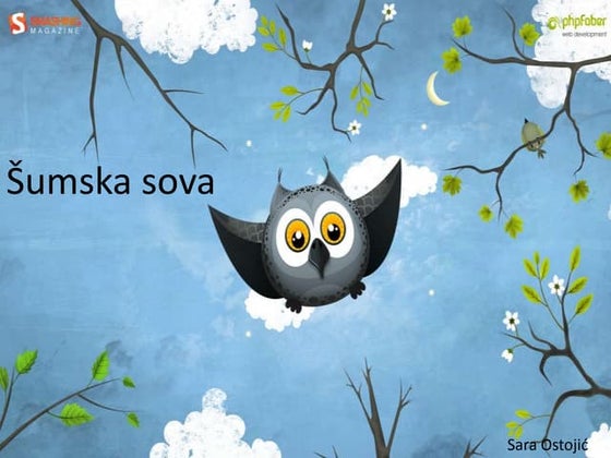 Sova Stefan Mutic Ppt