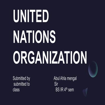 The Organisational Structure of the United Nations | PPTX