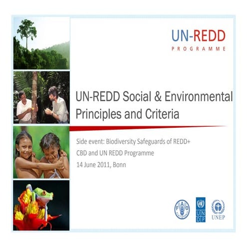 Un redd-social and environmental principles | PPT