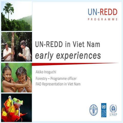 UN REDD in Vietnam | PPT