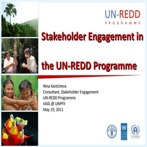 Consultation on the UN-REDD Programme Guidelines on Free, Prior and ...