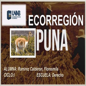 ECORREGION PUNA | PPTX