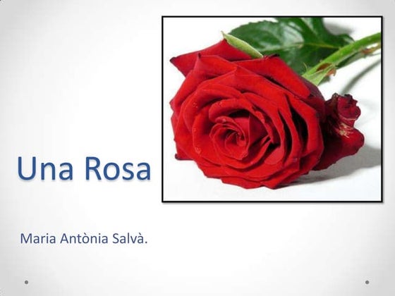 Una rosa | PPTX