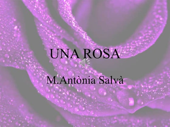 Una rosa | PPTX