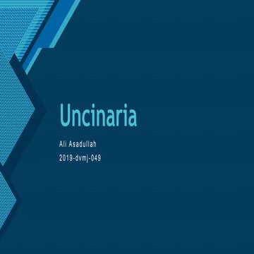 Uncinaria Stenocephala | Hook worm | Nematode | PPT