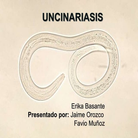 Hookworm infection | PPT