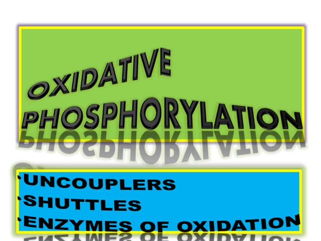 Biosynthesis of steroids | PPT | Hormonal Disorders | Endocrine and Metabolic Diseases