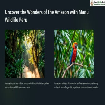 Peru Amazon Jungle Tours: Explore the Heart of the Rainforest Adventure ...