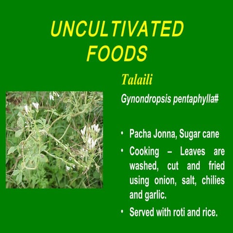 Uncultivated foods | PPT