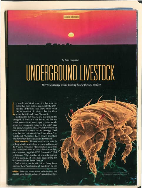 Your soil: crumbly or cloddy? | PDF