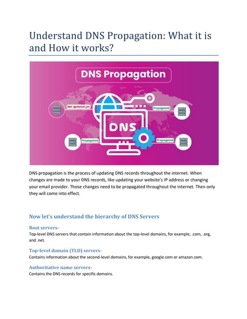 Streamlining DNS Checks in Flutter Apps | PDF