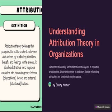 Understanding-Attribution-Theory-in-Organizations (1).pptx