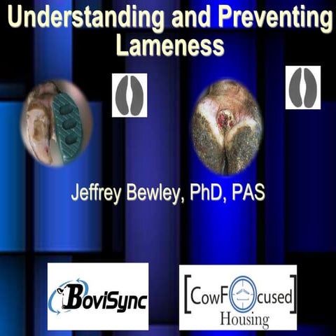 Understanding and Preventing Dairy Cattle Lameness | PPTX | Foot Health ...