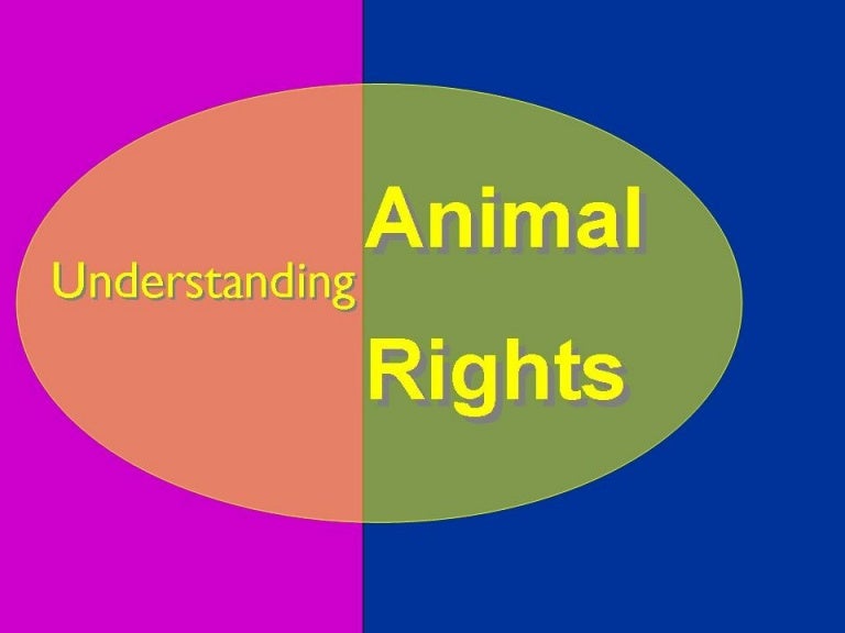 Understanding Animal Rights understanding-animal-rights