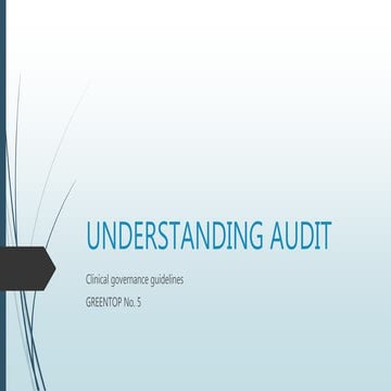 Understanding audit | PPTX