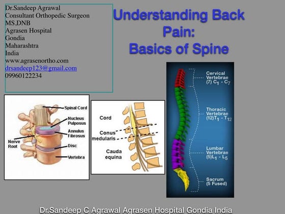 Radiographic views of sacrum and coccyx | PPT