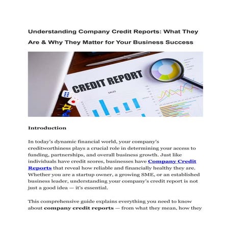 Understanding Company Credit Reports: What They Are & Why They Matter ...