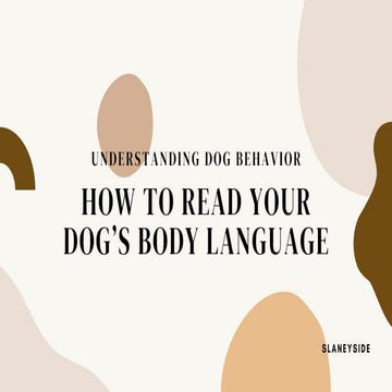 Understanding Dog Behavior How to Read Your Dog’s Body Language.pdf