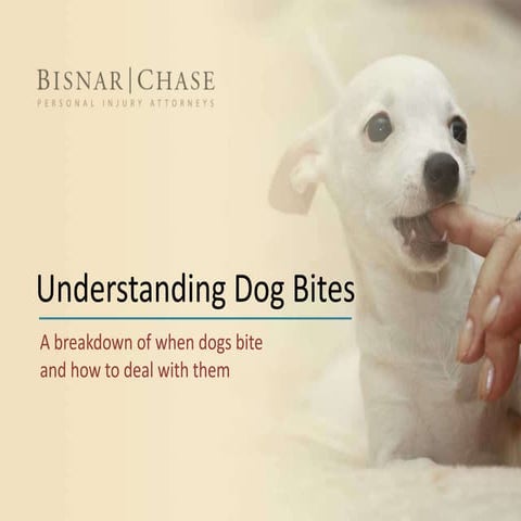 Understanding Dog Bites - When Dogs Bite and How to Deal With Them | PPTX