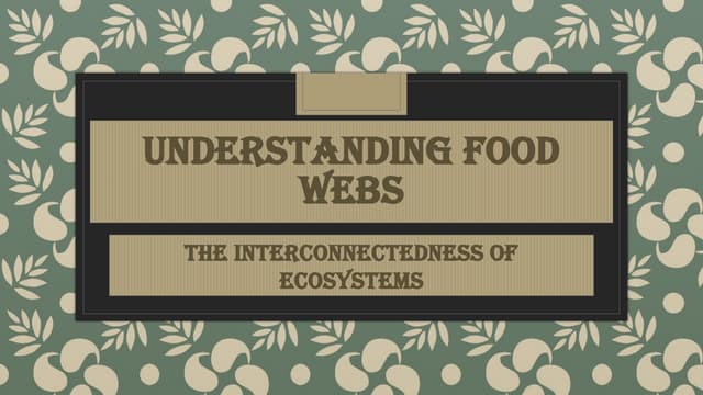Food web presentation | PPTX