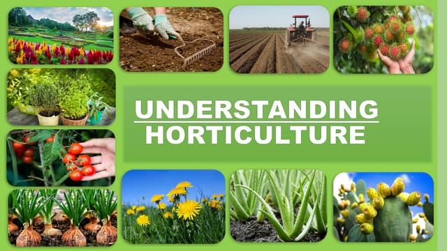 Horticulture introduction - Definition and Branches of Horticulture | PPT