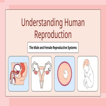 Human reproduction male and female reproductive system | PPTX