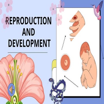 Understanding Human Reproduction Education Presentation in Blue Yellow ...