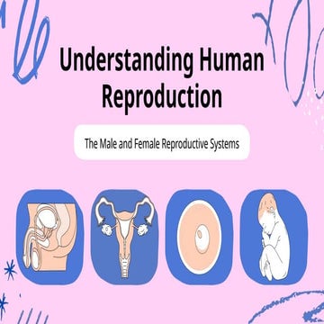 Reproductive System PPT2.ppt for grade 10 | PPT