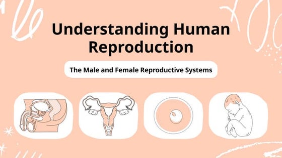 Understanding Science Human Reproduction Education Presentation in ...