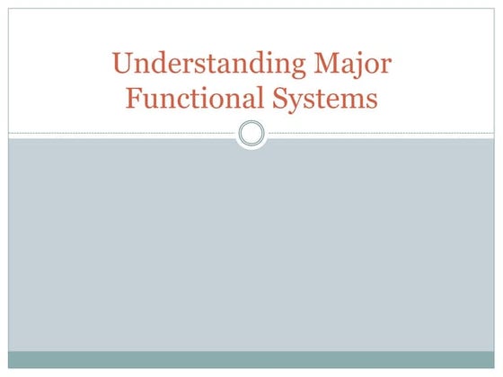 Application of MIS in manufacturing sector | PPTX