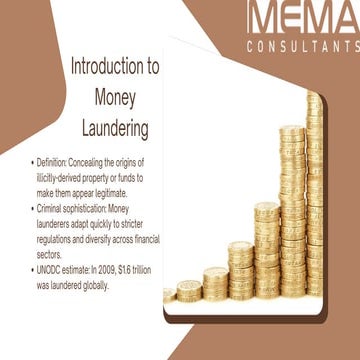 What Is Money Laundering? Key Red Flags Explained | PDF
