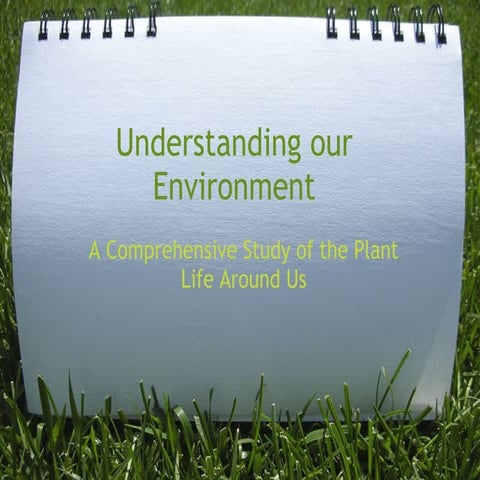 Understanding Our Environment | PPT