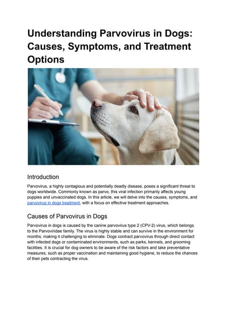 Canin parvovirus disease | PPT | Infectious Diseases | Diseases and ...