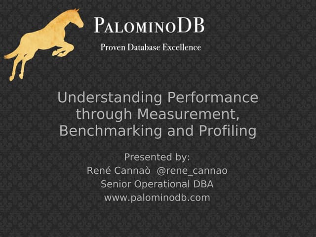 Understanding Performance Throughmeasurement Pdf Databases