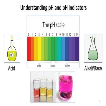 Understanding p h and ph indicators: for class 6 | PDF