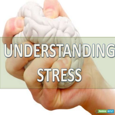 Understanding stress | PPSX