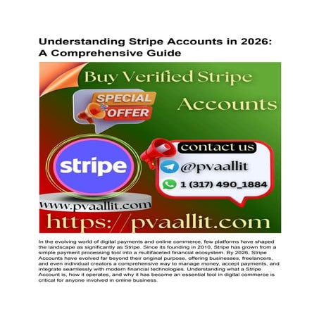 Company Presentation (Stripe) | PDF