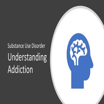 Recognizing the Signs: Understanding Substance Use Disorder Phases | PDF